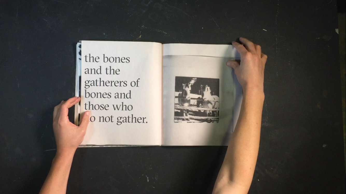 Book - Yale Architecture