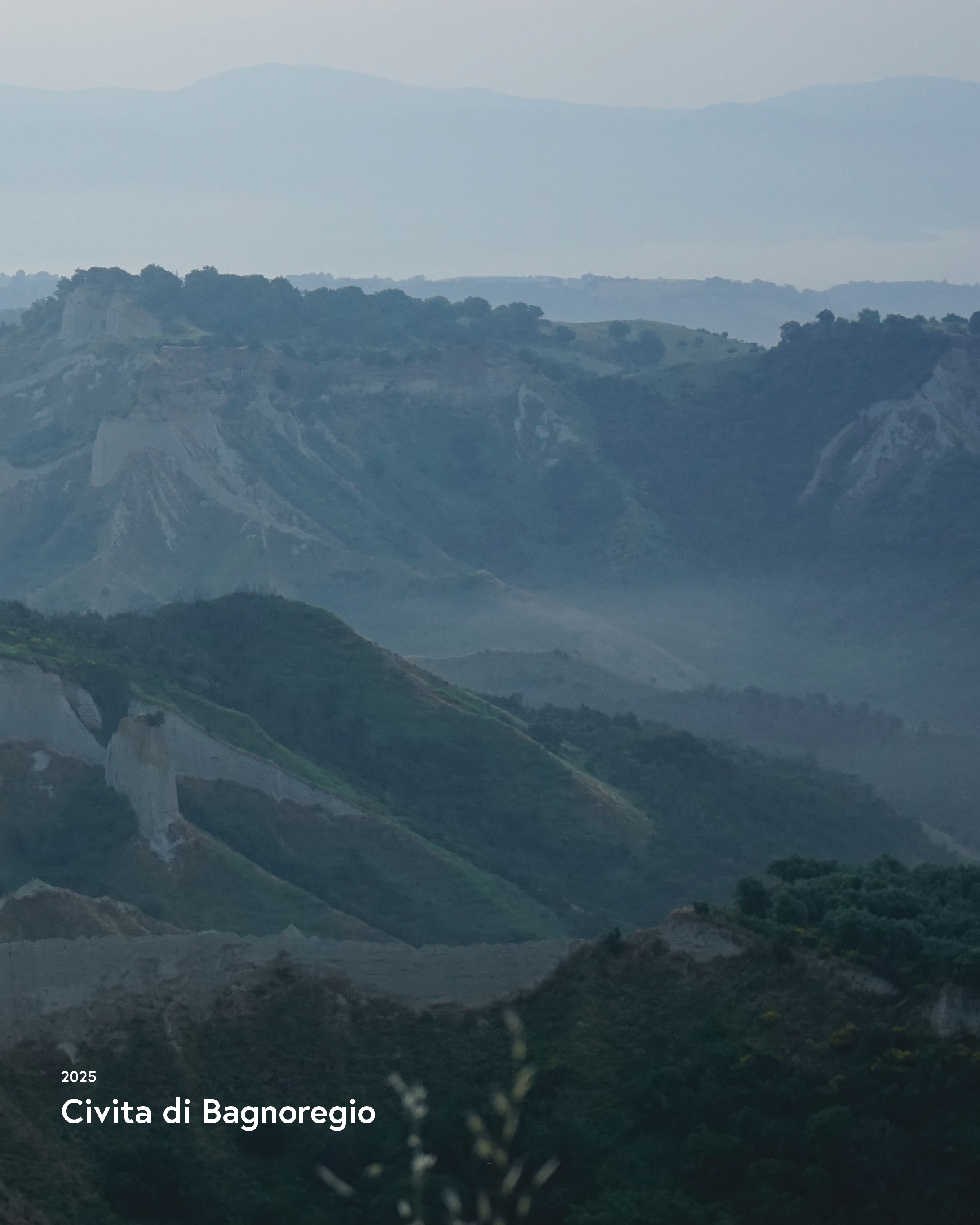 Perspecta 29: Into the Fire - Yale Architecture