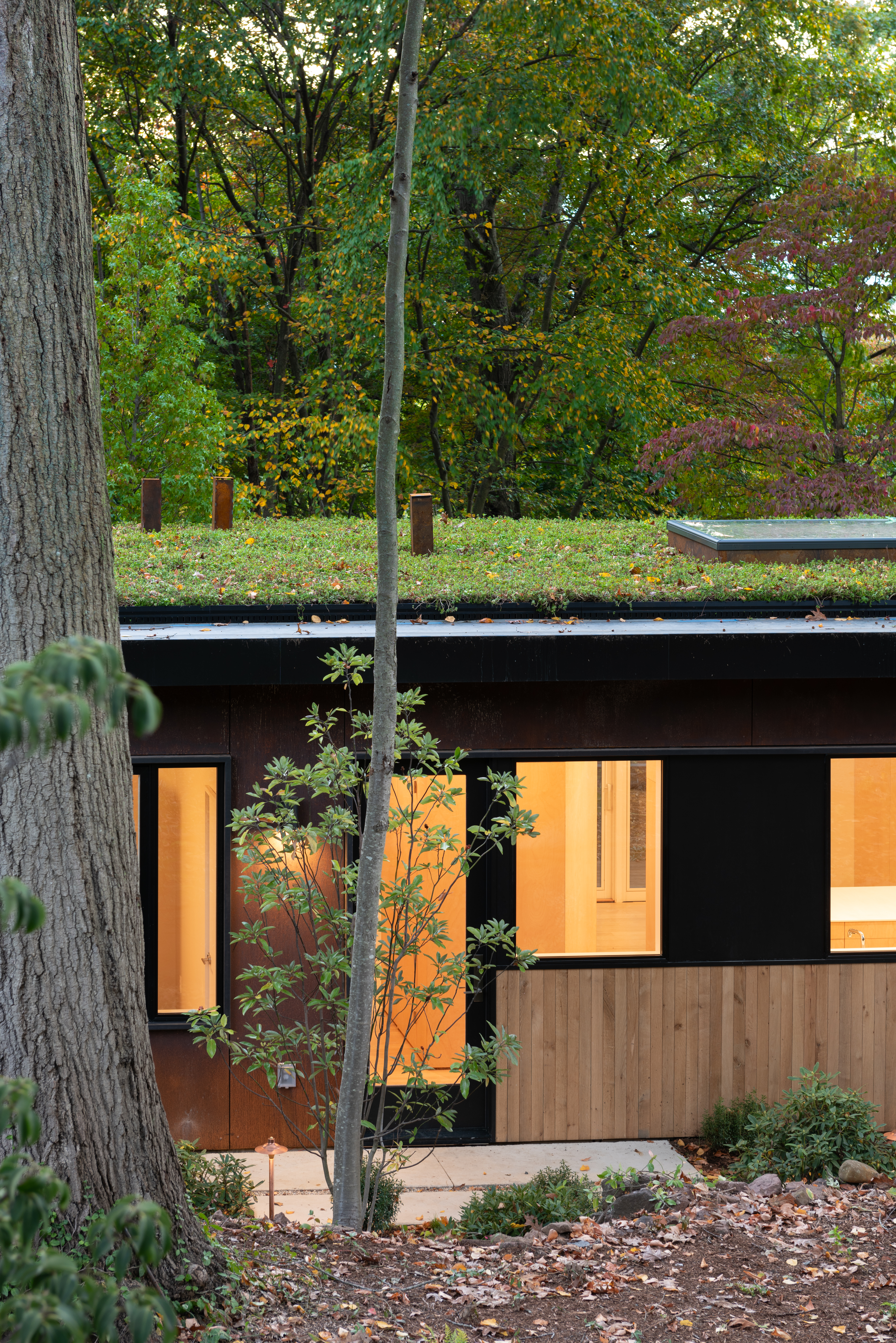 Yale Architecture