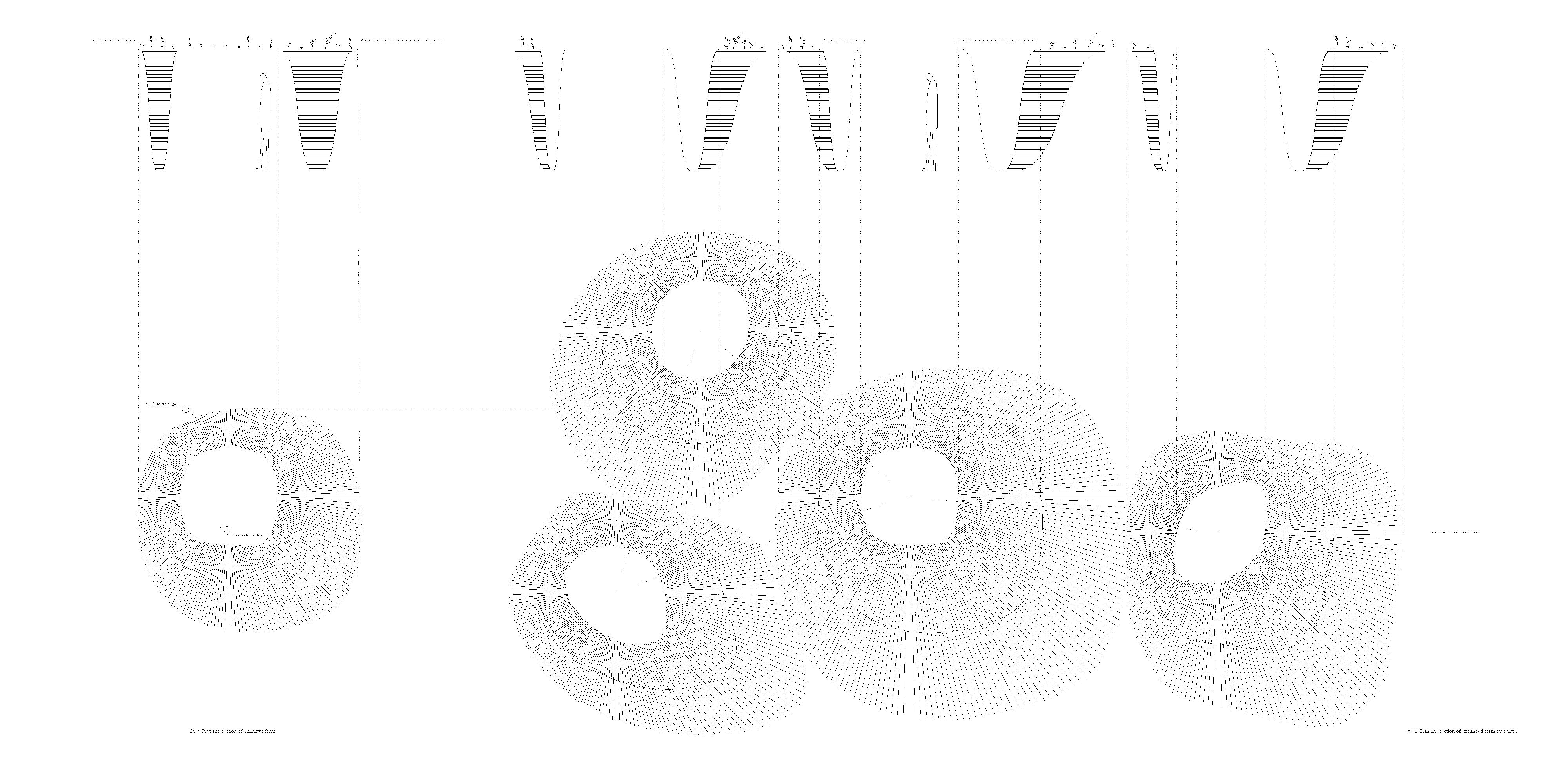 Museum of Trees - Yale Architecture