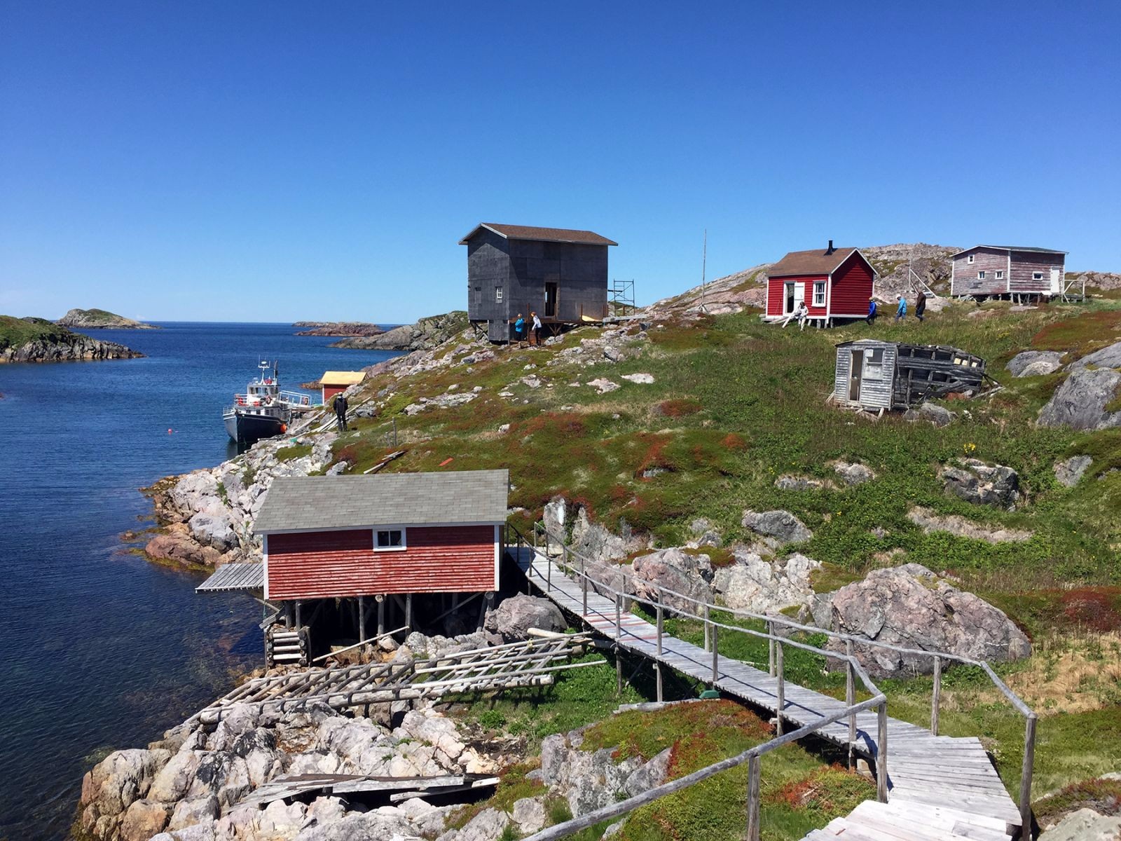 Newfoundland Food Institute - Yale Architecture